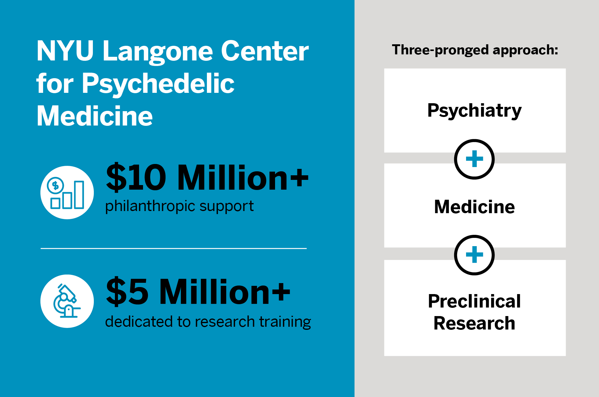 Giving Psychedelic Medicine a Dedicated Infrastructure - NYU Langone Health Physician Focus