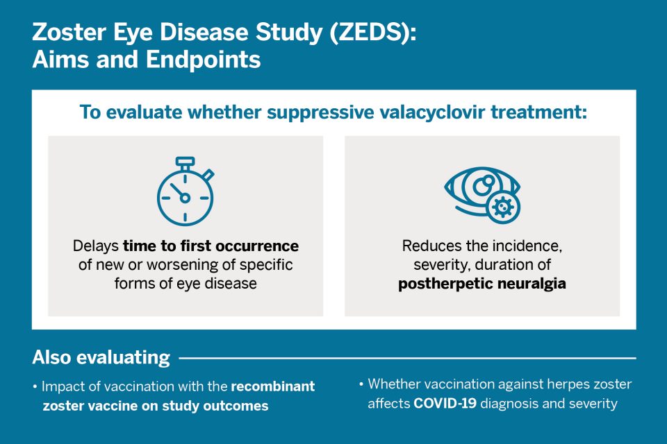 A Treatment for Zoster Eye Disease | NYU Langone Health Physician Focus