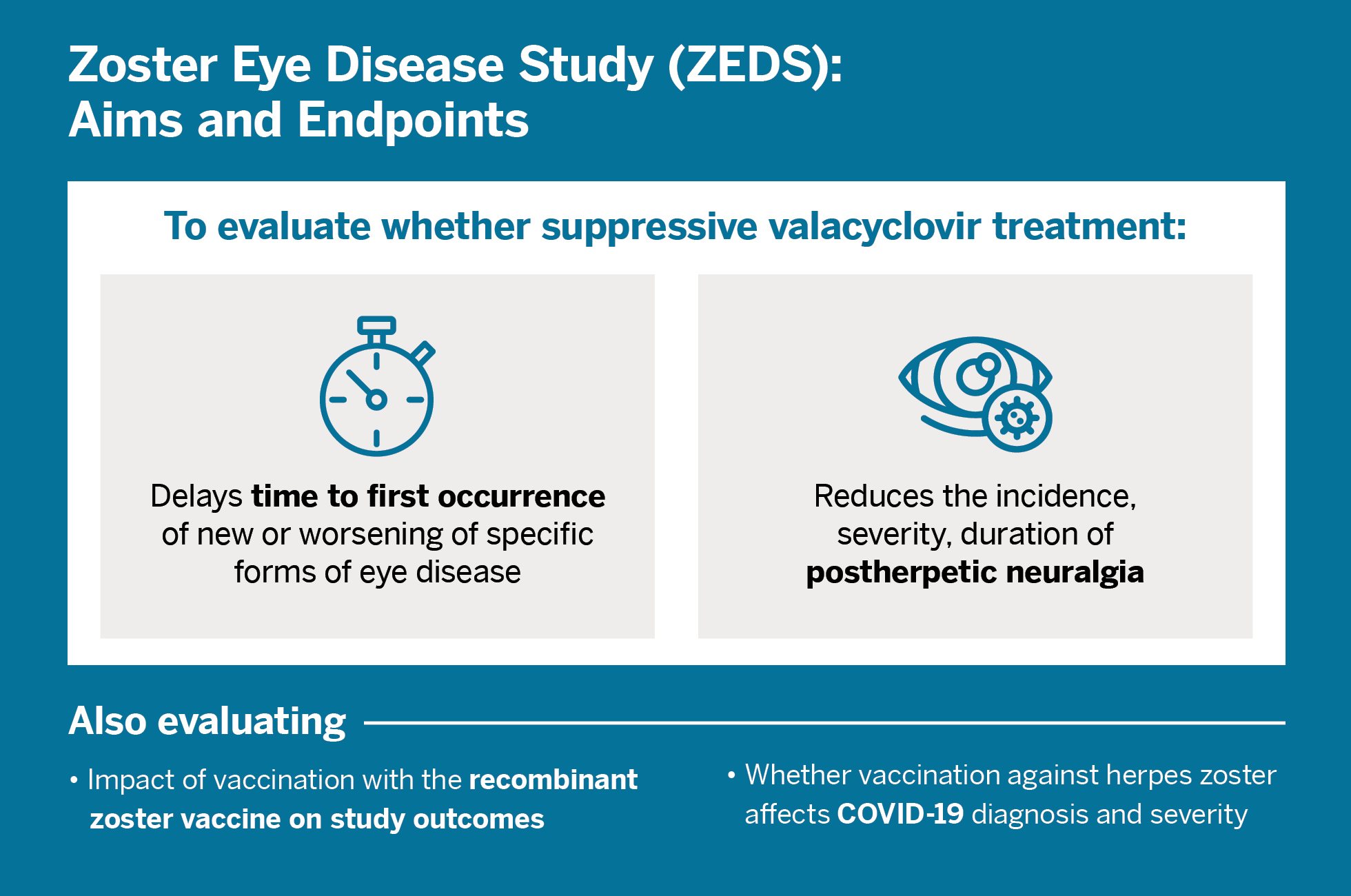 A Treatment for Zoster Eye Disease | NYU Langone Health Physician Focus