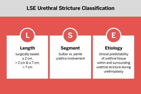 New Classification System for Urethral Stricture Disease