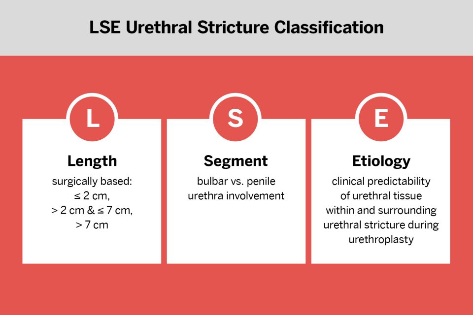 New Classification System For Urethral Stricture Disease