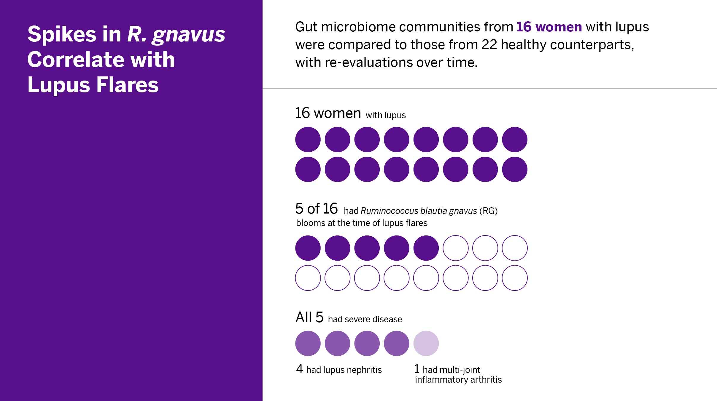 Gut Microbiome Changes Associated with Lupus Flares | NYU Langone ...