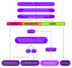 Pancreatic Cysts: To Treat or Not to Treat? - NYU Langone Health ...