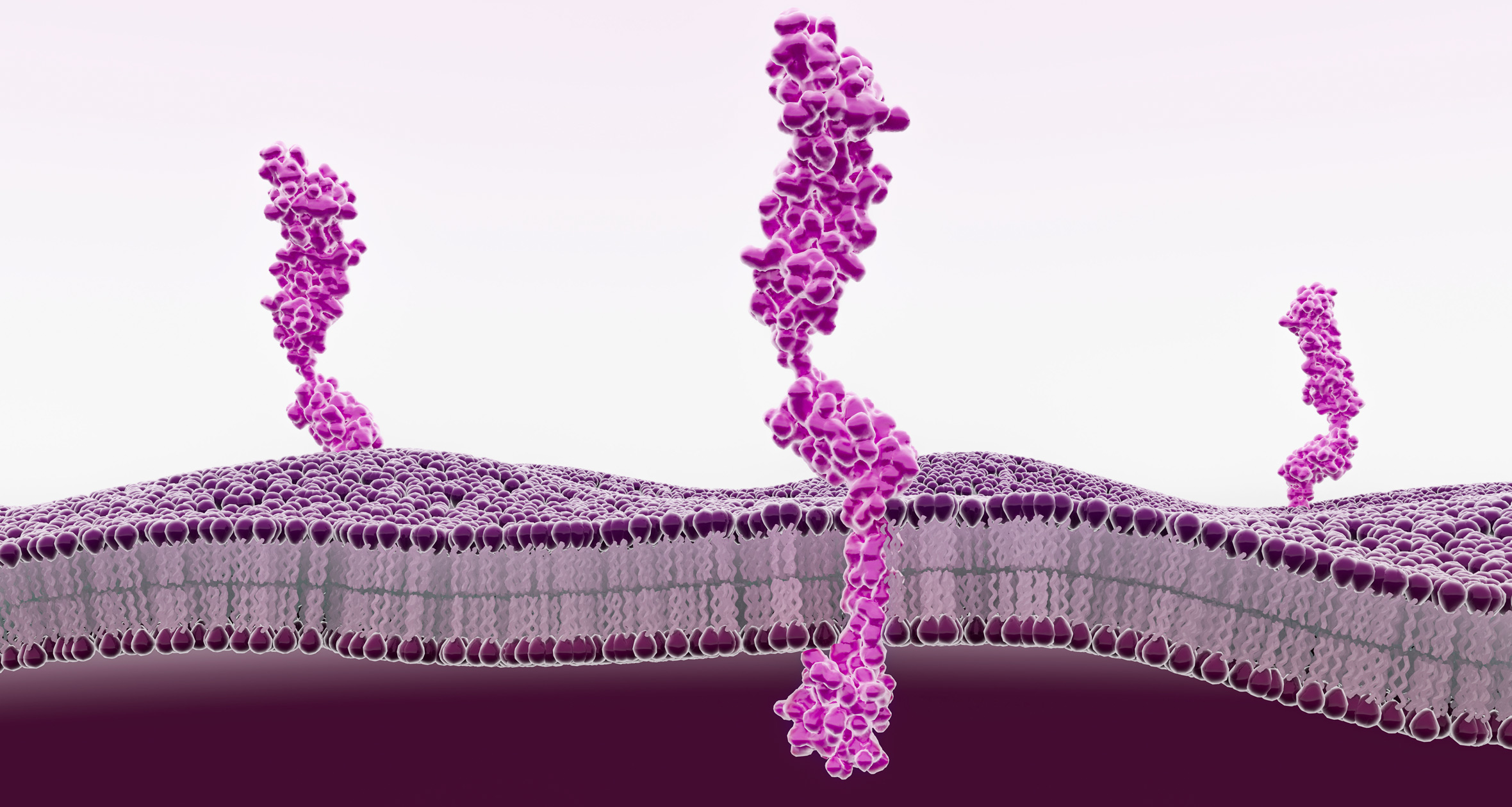 Restoring Proper Wound Repair in Diabetes | NYU Langone Health ...